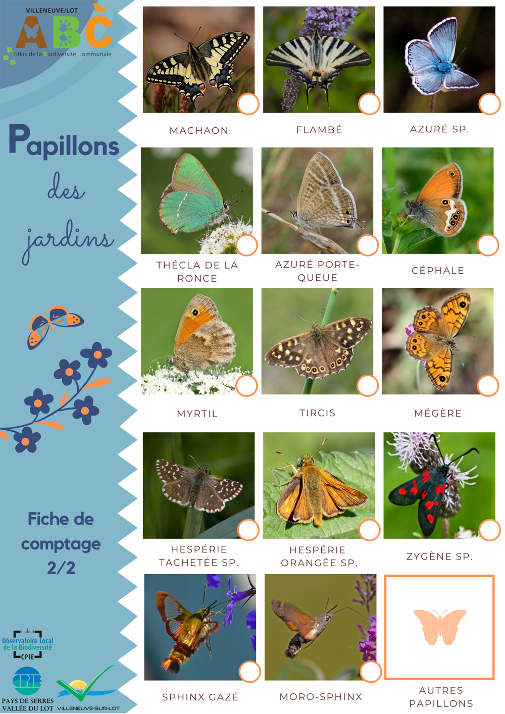 ABC Villeneuve | Weekend de comptage des papillons des jardins